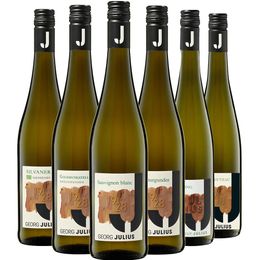 Weingut Julius Meet Georg Julius: Weisswein Kennlernpaket Trocken - Rheinhessen &ndash; Probierpaket Qualit&auml;tswein