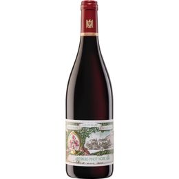 weingut maximin gr&uuml;nhaus Weingut Maximin Gr&uuml;nhaus Abtsberg GG Pinot Noir 2023 Trocken - Mosel &ndash; Rotwein Qualit&auml;tswein