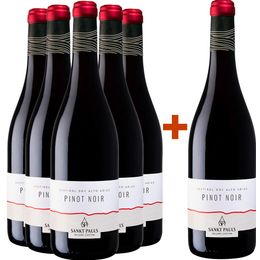SANKT PAULS Kellerei &ndash; Cantina 5+1 Paket Pinot Noir Alto Adige Nero 2024 Trocken - S&uuml;dtirol Probierpaket DOC