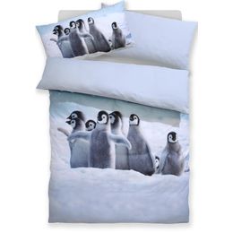 Bettw&auml;sche OTTO HOME "Lyki", bunt (pinguin), B/L: 135cm x 200cm, 1 Stk., 1 Stk., Microfaser, B/L: 40cm x 80cm, 2, Microfaser, Obermaterial: 100% Polyester, Bettw&auml;sche, Bettw&auml;sche, ab Gr&ouml;&szlig;e 135x200 cm, 100% Polyester, Katze, Pferd, L&ouml;we, Pinguin