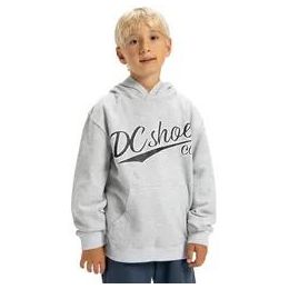 Hoodie DC Shoes "Substitute", Jungen, Gr. 10(140-148cm), grau (light erdgrau), Obermaterial: 55% Walkfrottier, 25% Walkfrottier, 20% Microfaser;, Sweatshirts Hoodie