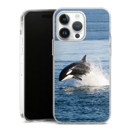 DeinDesign iPhone 14 Pro Max Handy Case Handyh&uuml;lle transparent H&uuml;lle Wale Orca Ocean Hard Case