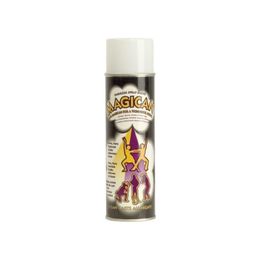 Showtec Magican Hazecan