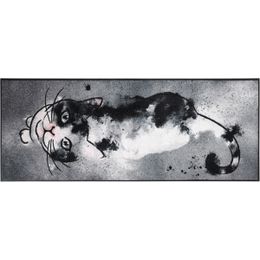 wash+dry by Kleen-Tex Fu&szlig;matte