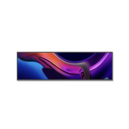 Solum Newton Touch Display | 29" Digital Signage Stripe Display, 24/7 Betrieb