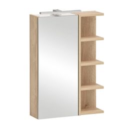 Pharao24.de Badezimmer Schrank Badschrank mit Spiegel mit LED Beleuchtung 50 cm breit