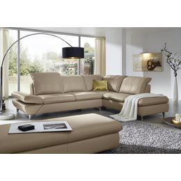 Ecksofa W.Schillig "Taoo, elegant und zeitlos, bequem, L-Form, Breite 296cm", braun (stone z59), B:296cm H:84cm T:242cm, Longlife Xtra-Leder Z59: Glattleder mit modischer Pr&auml;gung. Hautst&auml;rke 0, 9 - 1, 1 mm, Sofas, Ecksofa, mit Sitziefenverstellung & Kopfteilverstellung