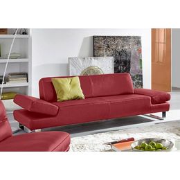 2-Sitzer W.Schillig "taboo Designsofa mit hohem Sitzkomfort", rot (ruby rot z59), B:202cm H:76cm T:91cm, Flachgewebe S22 (100% Polyester);Stoff S37 (100% Polyester): Luxus-Microfaser in Lederoptik;Longlife Xtra-Leder Z59: Glattleder mit modischer Pr&auml;gung. Hautst&auml;rke 0, 9 - 1, 1 mm;Longlife Xtra-Leder Z69: Das feinnarbige, gedeckte Softleder Z69 besticht durch seine au&szlig;ergew&ouml;hnliche Weichheit im tr