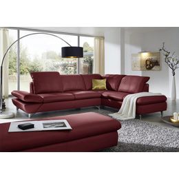 Ecksofa W.Schillig "Taoo, elegant und zeitlos, bequem, L-Form, Breite 296cm", rot (ruby rot z59), B:296cm H:84cm T:242cm, Longlife Xtra-Leder Z59: Glattleder mit modischer Pr&auml;gung. Hautst&auml;rke 0, 9 - 1, 1 mm, Sofas, Ecksofa, mit Sitziefenverstellung & Kopfteilverstellung
