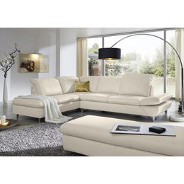 Ecksofa W.Schillig "Taoo, elegant und zeitlos, bequem, L-Form, Breite 296cm", grau (grau z73), B:296cm H:84cm T:242cm, Longlife Xtra-Leder Z73: Naturwalkleder der Luxusklasse aus den erlesensten Rohh&auml;uten. Hautst&auml;rke 1, 1 &ndash; 1, 3 mm, Sofas, Ecksofa, mit Sitziefenverstellung & Kopfteilverstellung