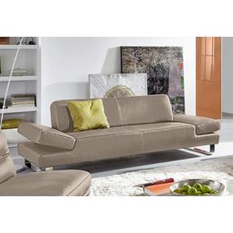 2-Sitzer W.Schillig "taboo Designsofa mit hohem Sitzkomfort", braun (stone z59), B:202cm H:76cm T:91cm, Flachgewebe S22 (100% Polyester);Stoff S37 (100% Polyester): Luxus-Microfaser in Lederoptik;Longlife Xtra-Leder Z59: Glattleder mit modischer Pr&auml;gung. Hautst&auml;rke 0, 9 - 1, 1 mm;Longlife Xtra-Leder Z69: Das feinnarbige, gedeckte Softleder Z69 besticht durch seine au&szlig;ergew&ouml;hnliche Weichheit im tre