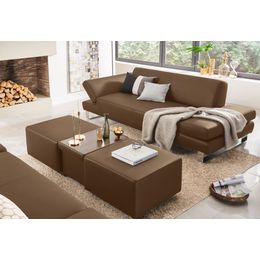 2-Sitzer W.Schillig "taboo Designsofa mit hohem Sitzkomfort", braun (fango z69), B:202cm H:76cm T:91cm, Flachgewebe S22 (100% Polyester);Stoff S37 (100% Polyester): Luxus-Microfaser in Lederoptik;Longlife Xtra-Leder Z59: Glattleder mit modischer Pr&auml;gung. Hautst&auml;rke 0, 9 - 1, 1 mm;Longlife Xtra-Leder Z69: Das feinnarbige, gedeckte Softleder Z69 besticht durch seine au&szlig;ergew&ouml;hnliche Weichheit im tre