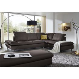 Ecksofa W.Schillig "Taoo, elegant und zeitlos, bequem, L-Form, Breite 296cm", braun (mocca z73), B:296cm H:84cm T:242cm, Longlife Xtra-Leder Z73: Naturwalkleder der Luxusklasse aus den erlesensten Rohh&auml;uten. Hautst&auml;rke 1, 1 &ndash; 1, 3 mm, Sofas, Ecksofa, mit Sitziefenverstellung & Kopfteilverstellung
