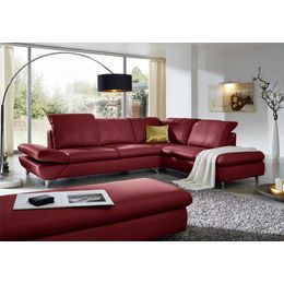 Ecksofa W.Schillig "Taoo, elegant und zeitlos, bequem, L-Form, Breite 296cm", rot (blush z73), B:296cm H:84cm T:242cm, Longlife Xtra-Leder Z73: Naturwalkleder der Luxusklasse aus den erlesensten Rohh&auml;uten. Hautst&auml;rke 1, 1 &ndash; 1, 3 mm, Sofas, Ecksofa, mit Sitziefenverstellung & Kopfteilverstellung
