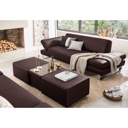 2-Sitzer W.Schillig "taboo Designsofa mit hohem Sitzkomfort", braun (mocca z69), B:202cm H:76cm T:91cm, Flachgewebe S22 (100% Polyester);Stoff S37 (100% Polyester): Luxus-Microfaser in Lederoptik;Longlife Xtra-Leder Z59: Glattleder mit modischer Pr&auml;gung. Hautst&auml;rke 0, 9 - 1, 1 mm;Longlife Xtra-Leder Z69: Das feinnarbige, gedeckte Softleder Z69 besticht durch seine au&szlig;ergew&ouml;hnliche Weichheit im tre