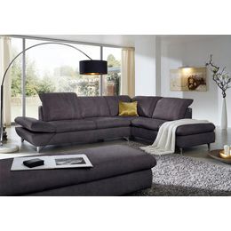 Ecksofa W.Schillig "Taoo, elegant und zeitlos, bequem, L-Form, Breite 296cm", grau (dolphin s41), B:296cm H:84cm T:242cm, Longlife fabric Velourgewebe S41 (100% Polyester), Sofas, Ecksofa, mit Sitziefenverstellung & Kopfteilverstellung