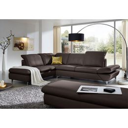 Ecksofa W.Schillig "Taoo, elegant und zeitlos, bequem, L-Form, Breite 296cm", braun (mocca z73), B:296cm H:84cm T:242cm, Longlife Xtra-Leder Z73: Naturwalkleder der Luxusklasse aus den erlesensten Rohh&auml;uten. Hautst&auml;rke 1, 1 &ndash; 1, 3 mm, Sofas, Ecksofa, mit Sitziefenverstellung & Kopfteilverstellung