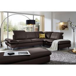 Ecksofa W.Schillig "Taoo, elegant und zeitlos, bequem, L-Form, Breite 296cm", braun (braun z59), B:296cm H:84cm T:242cm, Longlife Xtra-Leder Z59: Glattleder mit modischer Pr&auml;gung. Hautst&auml;rke 0, 9 - 1, 1 mm, Sofas, Ecksofa, mit Sitziefenverstellung & Kopfteilverstellung