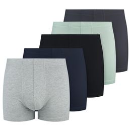 VanVaan 5 Herren Boxer mit Bio-Baumwolle
