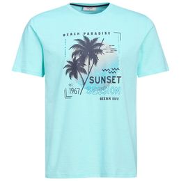 VanVaan Herren T-Shirt mit Print