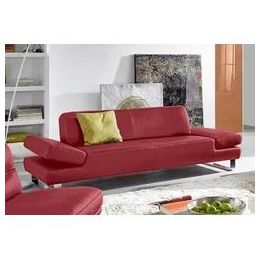 2-Sitzer W.Schillig "taboo Designsofa mit hohem Sitzkomfort", rot (ruby rot z59), B:202cm H:76cm T:91cm, Flachgewebe S22 (100% Polyester);Stoff S37 (100% Polyester): Luxus-Microfaser in Lederoptik;Longlife Xtra-Leder Z59: Glattleder mit modischer Pr&auml;gung. Hautst&auml;rke 0, 9 - 1, 1 mm;Longlife Xtra-Leder Z69: Das feinnarbige, gedeckte Softleder Z69 besticht durch seine au&szlig;ergew&ouml;hnliche Weichheit im tr
