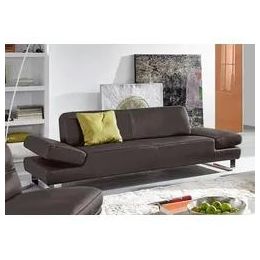 2-Sitzer W.Schillig "taboo Designsofa mit hohem Sitzkomfort", braun (braun z59), B:202cm H:76cm T:91cm, Flachgewebe S22 (100% Polyester);Stoff S37 (100% Polyester): Luxus-Microfaser in Lederoptik;Longlife Xtra-Leder Z59: Glattleder mit modischer Pr&auml;gung. Hautst&auml;rke 0, 9 - 1, 1 mm;Longlife Xtra-Leder Z69: Das feinnarbige, gedeckte Softleder Z69 besticht durch seine au&szlig;ergew&ouml;hnliche Weichheit im tre