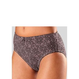 Slip Nuance, Damen, Gr. 36/38, schwarz (taupe, schwarz), Obermaterial: 95% Baumwolle, 5% Elasthan, Unterhosen Slip, hoch geschnittener Slip aus Baumwolle, Topseller
