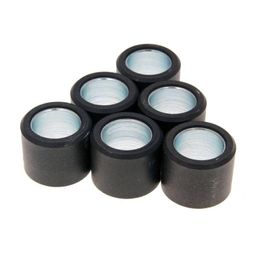 Variomatikgewichte Polini 20x17mm - 10,4g
