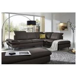 Ecksofa W.Schillig "Taoo, elegant und zeitlos, bequem, L-Form, Breite 296cm", braun (mocca z73), B:296cm H:84cm T:242cm, Longlife Xtra-Leder Z73: Naturwalkleder der Luxusklasse aus den erlesensten Rohh&auml;uten. Hautst&auml;rke 1, 1 &ndash; 1, 3 mm, Sofas, Ecksofa, mit Sitziefenverstellung & Kopfteilverstellung