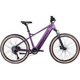 E-Bike agon "Alpha" Gr. 48, gr&uuml;n (sunrise schwarz metallic), Elektrofahrr&auml;der, 48cm, 27,5 Zoll (69,85cm), Pedelec, Elektrofahrrad f&uuml;r Damen u. Herren, MTB, Topseller