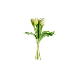 M&ouml;bel Kraft Tulpenbund gr&uuml;n Kunststoff Ma&szlig;e (cm): H: 28 &raquo; M&ouml;bel Kraft