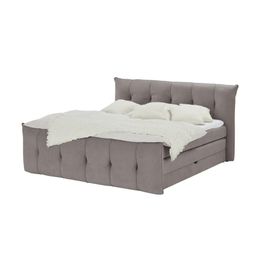 Twist Boxspringbett mit Bettkasten Sofia grau Ma&szlig;e (cm): B: 204 H: 113 &raquo; M&ouml;bel Kraft