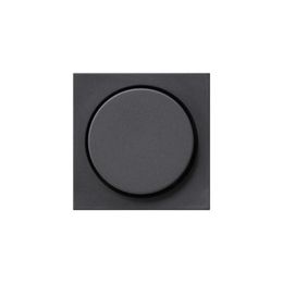 GIRA Dimmer-Abdeckung anth System55 065028)