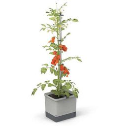 Gusta Garden Pflanzentopf TOM Tomato, Hellgrau, Kunststoff, rechteckig, 34.7x135.4x27.7 cm, Loch, frostgeeignet, Dekoration, Blumen & Zubeh&ouml;r, &Uuml;bert&ouml;pfe