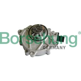 BORSEHUNG Unterdruckpumpe, Bremsanlage b12222 f&uuml;r BMW