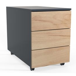 Vcm Rollcontainer DALOSA