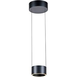 NEUHAUS PURE LED Pendelleuchte "PURE Clipse", mystic grau, 2, &Oslash; 15cm H: 40cm, 1 Stk., Leuchten, Comfort Lift, CCT, dimmbar &uuml;ber Fernbedienung, LED Pendelleuchte