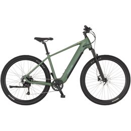 FISCHER BIKE E-Bike FISCHER FAHRRAD "MONTIS MOVE 01 474 D" Gr. 48, gr&uuml;n, Elektrofahrr&auml;der, 48cm, 29 Zoll (73,66cm)