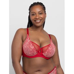 B&uuml;gel-BH Dorina "Erin (Valentine)", Damen, Gr. 90, Cup G, rot, Mesh, Spitze, Obermaterial: 60% Polyester, 33% Polyamid, 7% Elasthan, BHs B&uuml;gel-BH, mit floraler Spitze