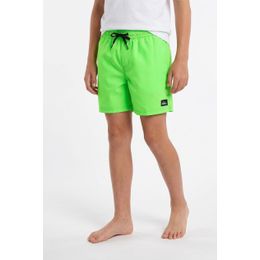 Badeshorts Quiksilver "EVERYDAY VOLLEY YTH 14", Kinder, Gr. 14 (158/164), N-Gr, gr&uuml;n gecko, Web, Baumwolle, Polyester, unifarben, Badehosen Badeshorts, f&uuml;r Kinder und Jugendliche, bequeme Passform