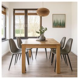 HTI-Living Esszimmerstuhl Samt 4er Set Savannah Grau