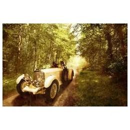 Fototapete papermoon "Oldtimer in wald", bunt, B:2,5m L:1,86m, Vlies, Tapeten