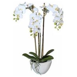 Kunstpflanze Creativ green "Mini Orchidee", wei&szlig;, B:14cm H:51cm T:8,5cm, Kunstpflanzen, Kunstpflanze