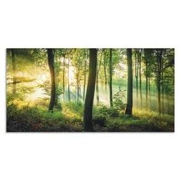 Wandbild Artland "Herbst im Wald II", gr&uuml;n (farbe bild(er): gr&uuml;n), B:150cm H:75cm, Bilder, als Alubild, Leinwandbild, Poster in verschied. Gr&ouml;&szlig;en