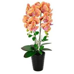 Kunstblume I.GE.A. "Orchidee", orange, B:26cm H:58cm L:18cm, Kunstpflanzen, Im Topf Phalaenopsis Orchidee Phalaenopsis mit &Uuml;bertopf Hochzeit