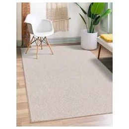 Teppich the carpet "Natal", beige, B:200cm H:5mm L:290cm, Polypropylen, Teppiche, Teppich, Wohnzimmer Teppich robust Filz-R&uuml;cken