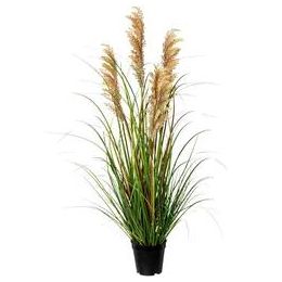 Kunstgras Creativ green "Grasbusch Rispenhirse", gr&uuml;n, H:92cm &Oslash;:25cm, Kunststoff, Kunstpflanzen