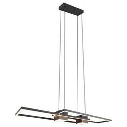 Trio LEUCHTEN LED Pendelleuchte "ALBANY, LED H&auml;ngelampe Wohnzimmer mit Fernbedienung, dimmbar, CCT", schwarz (schwarz matt), 1, H: 150cm, 1 Stk., Leuchten, Lichtfarbe einstellbar, Memoryfunktion, Nachtlicht, up-and-down Licht, LED Pendelleuchte