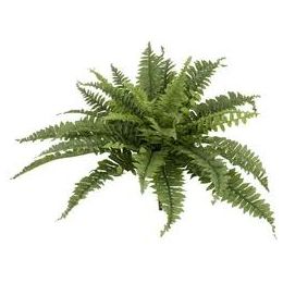 Kunstpflanze Creativ green "Bostonfarn ohne Topf", gr&uuml;n, H:60cm &Oslash;:70cm, Kunststoff, Kunstpflanzen, Kunstpflanze, mit zahlreichen Farnwedeln
