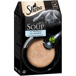 SHEBA Soup mit Wei&szlig;fisch 40x40 g